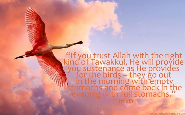 If You Trust Allah With The Right Kind Of Tawakkul - 1280x800 Wallpaper ...