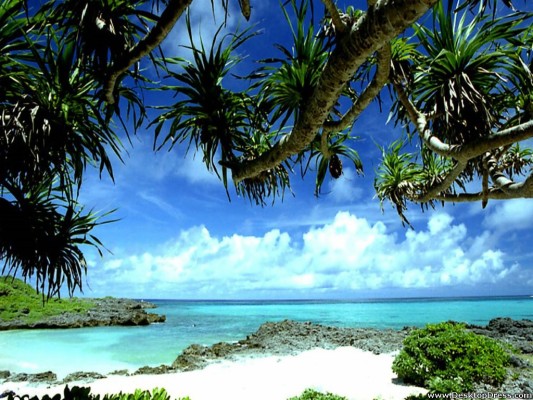 Tropical Beach - Okinawa Scenery - 1024x768 Wallpaper - teahub.io