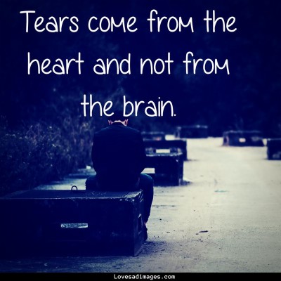 Sad Boy Hd Wallpaper - Friendship Sad Ending - 800x800 Wallpaper ...