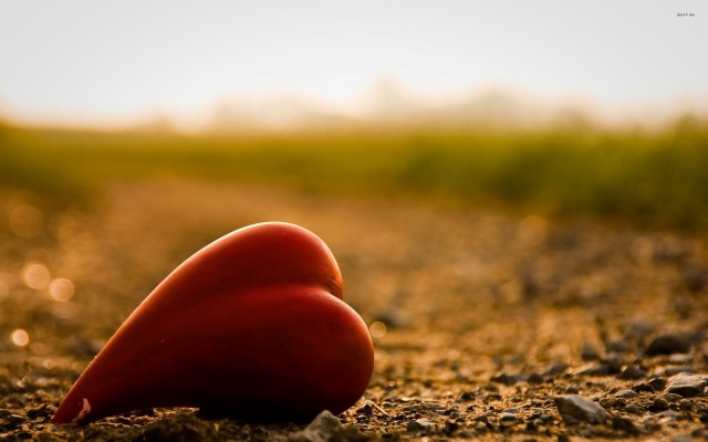 Green Ground Wallpaper Hd - 1920x1200 Wallpaper - teahub.io