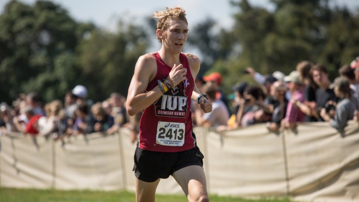 Iup Crimson Hawks - 1600x900 Wallpaper - teahub.io