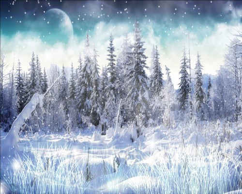 Full Screen Free Winter Screensavers - 1024x768 Wallpaper - teahub.io