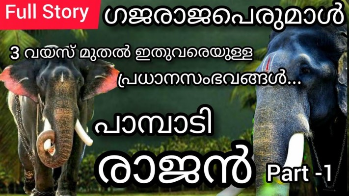 Karnan Wallpapers - Mangalamkunnu Karnan Intemple Elephant - 1200x1600 ...