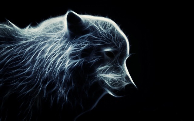 Fractal Wolf - 2560x1600 Wallpaper - teahub.io