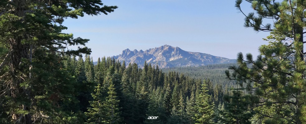 Spruce-fir Forest - 5040x1050 Wallpaper - teahub.io