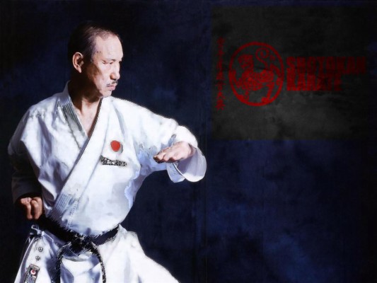 Tanaka Karate - 1008x756 Wallpaper - teahub.io