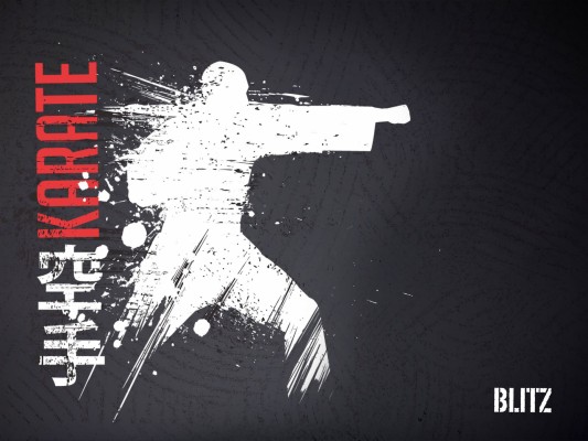 630426 Karate Wallpaper - Karate Blitz - 1920x1080 Wallpaper - teahub.io