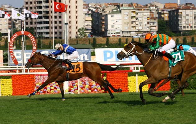 Horse Racing Turkey - 2500x1583 Wallpaper - teahub.io