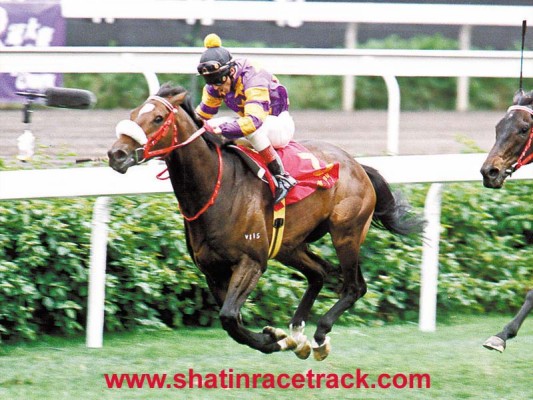 Flat Racing - 4500x3000 Wallpaper - teahub.io