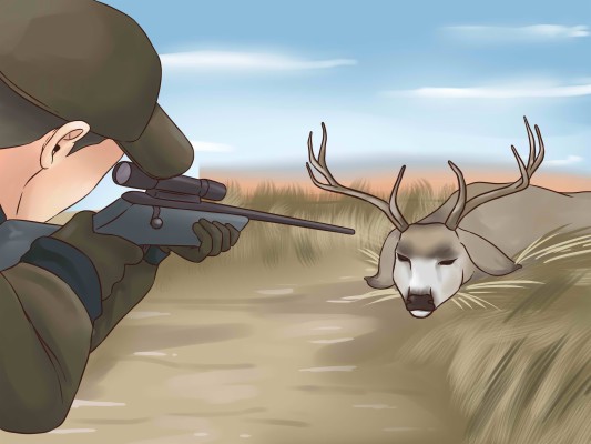 Whitetail Deer Hunting - White-tailed Deer - 1920x1080 Wallpaper ...