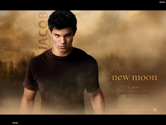 Twilight Wallpaper Taylor Lautner - 1600x1200 Wallpaper - teahub.io