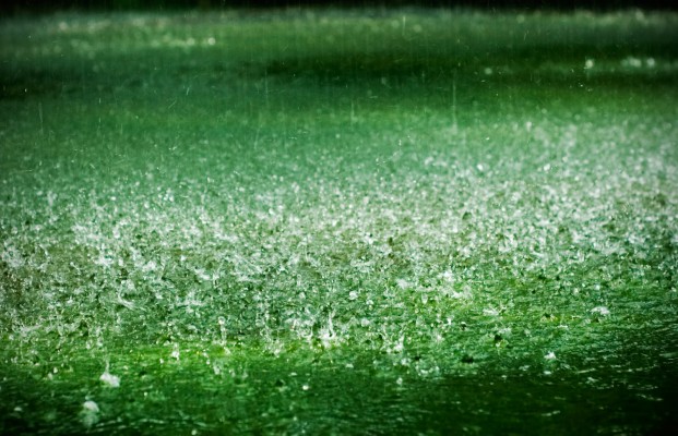 Green Wallpapers Hd - Green Rain Nature - 1600x1200 Wallpaper - teahub.io