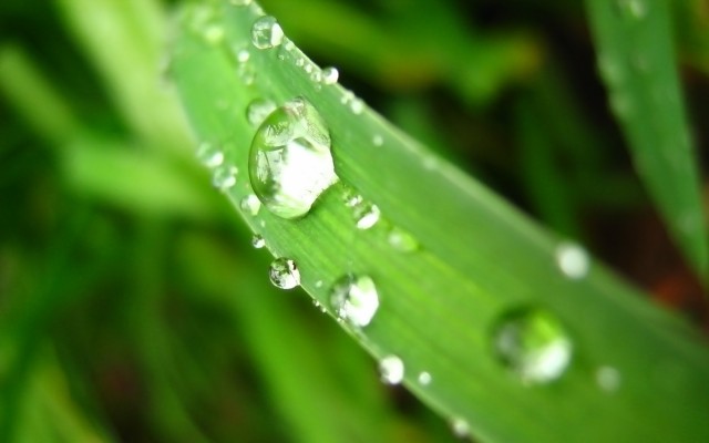 After The Rain Christian Wallpaper Free Download - 1680x1050 Wallpaper ...