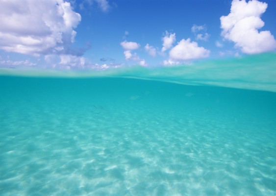Sea Water Images Hd - 1200x1200 Wallpaper - teahub.io