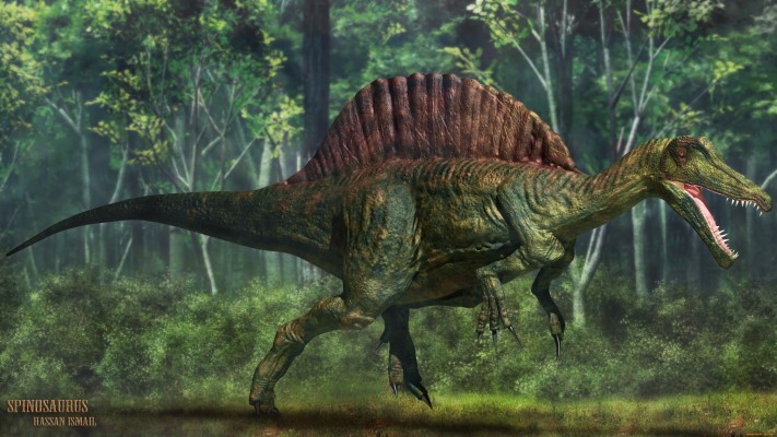 Spini - Spinosaurus Dinosaur King Spiny - 1024x768 Wallpaper - teahub.io