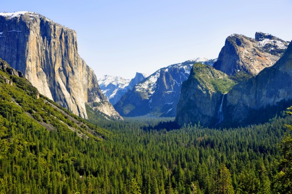 Muir Grove Kings Canyon National Park - 4288x2848 Wallpaper - teahub.io