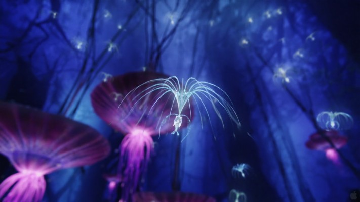 Avatar Woodsprite - 1920x1080 Wallpaper - teahub.io