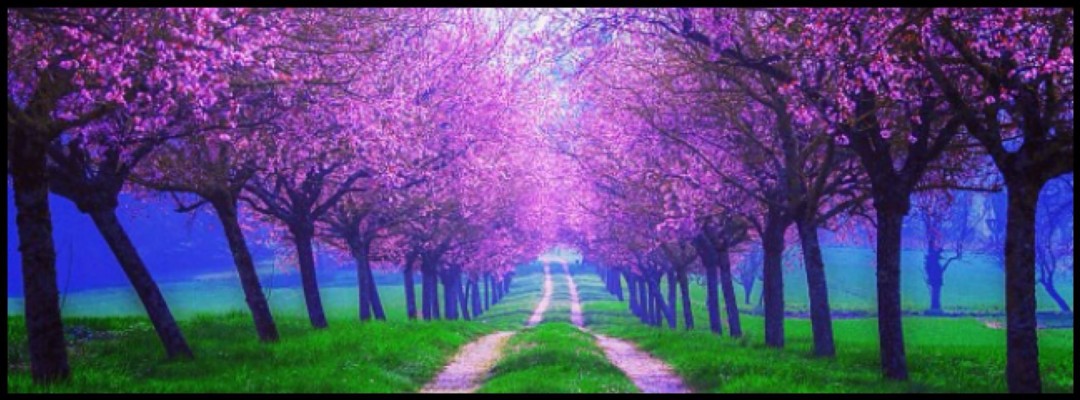 Beautiful Wallpapers For Facebook 500 Collection Hd - Beautiful ...