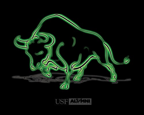 Usf Desktop Background - 1280x1024 Wallpaper - teahub.io