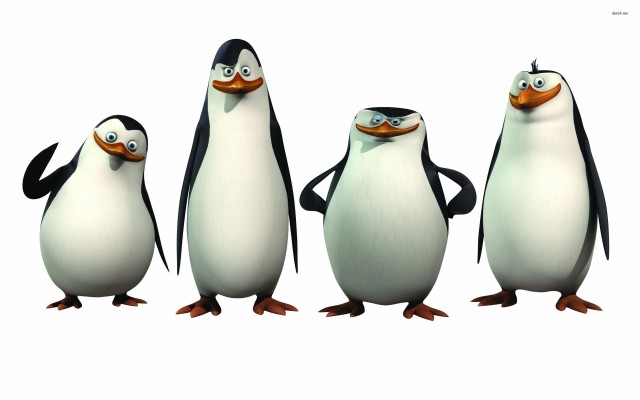 Penguins Of Madagascar Eva The Owl - 1920x1080 Wallpaper - teahub.io