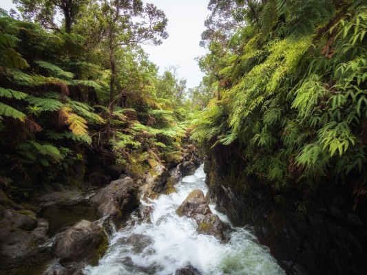 Tributary - 3840x2400 Wallpaper - teahub.io