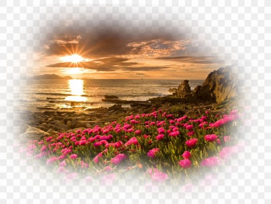 Ultra High Definition Television Desktop Wallpaper - Paramesh Name ...