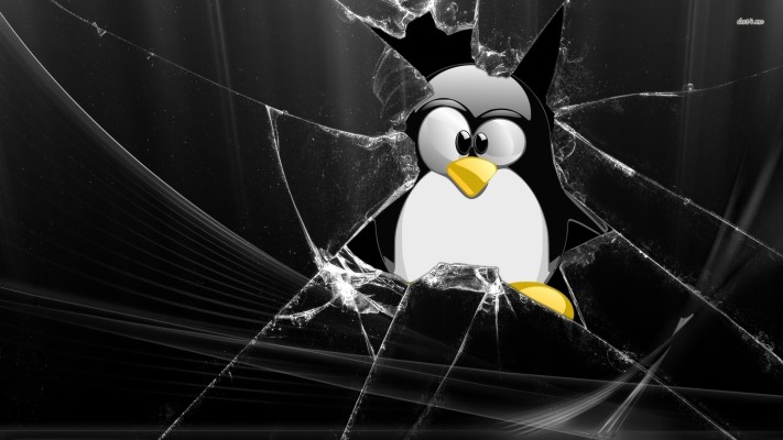 Linux Vulnerability - 1920x1080 Wallpaper - teahub.io