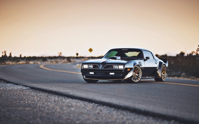 Pontiac Firebird 30th Anniversary - 2560x1440 Wallpaper - teahub.io