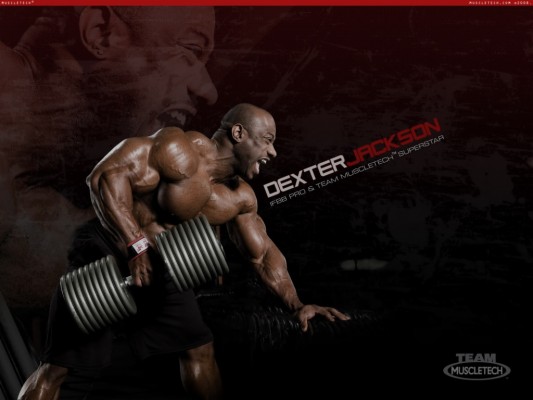 Bodybuilder With Dumbbell Vector - 1300x1261 Wallpaper - teahub.io