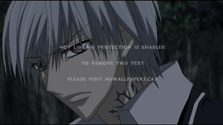 Zero Kiryu Anime Vampire Knight Manga - Anime - 1920x1080 Wallpaper ...