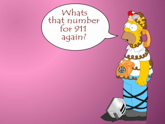 Homer Simpson - Homer Mumu - 1024x768 Wallpaper - teahub.io
