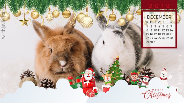 December 2019 Christmas Calendar - 640x1136 Wallpaper - teahub.io