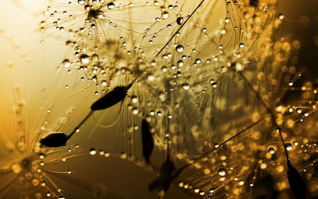 Rain Most Beautiful Rain Images Of Nature Hd - 698x1241 Wallpaper ...