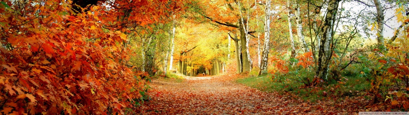 Dual Monitor Wallpaper Autumn - 2560x720 Wallpaper - teahub.io