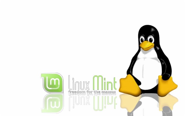 Linux Tux Wallpaper Mint - 1024x640 Wallpaper - teahub.io