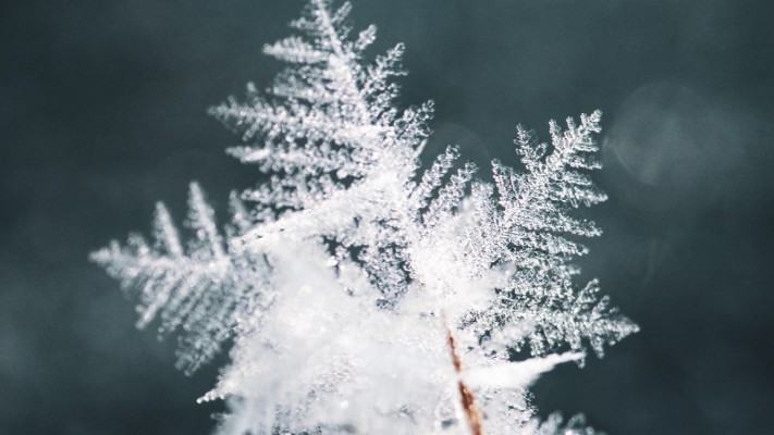 Snowflake Macro Photos Desktop Background - 1334x750 Wallpaper - teahub.io