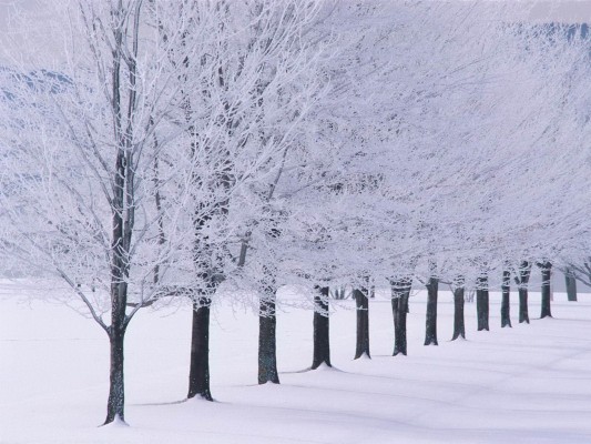 Examples Of Winter Season - 1600x1200 Wallpaper - teahub.io