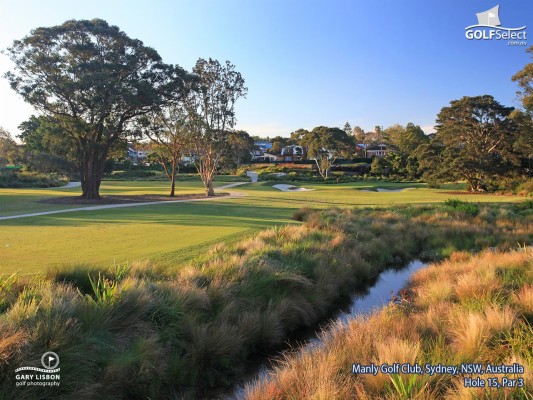Manly Golf Club Hole 15, Par - Tree - 1280x960 Wallpaper - teahub.io