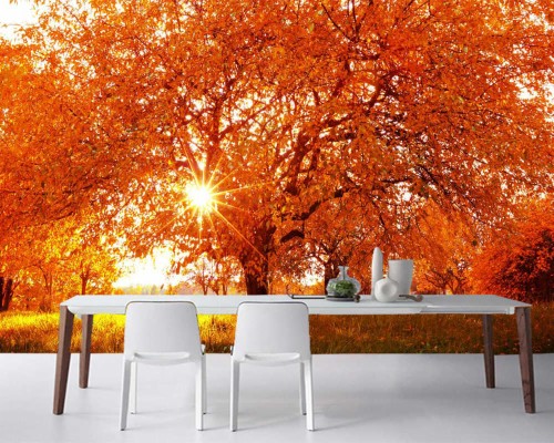 Beautiful Afternoon Scenery - 1000x800 Wallpaper - teahub.io