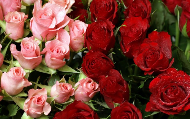 Drawn Red Rose Guldasta - Bouquet Flowers - 1280x1024 Wallpaper - teahub.io