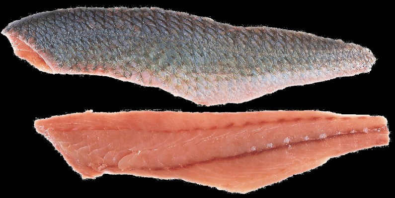 Fillet Fish Market Form - 1154x580 Wallpaper - teahub.io