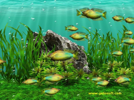 Best Moving Screensavers Free - 800x600 Wallpaper - teahub.io