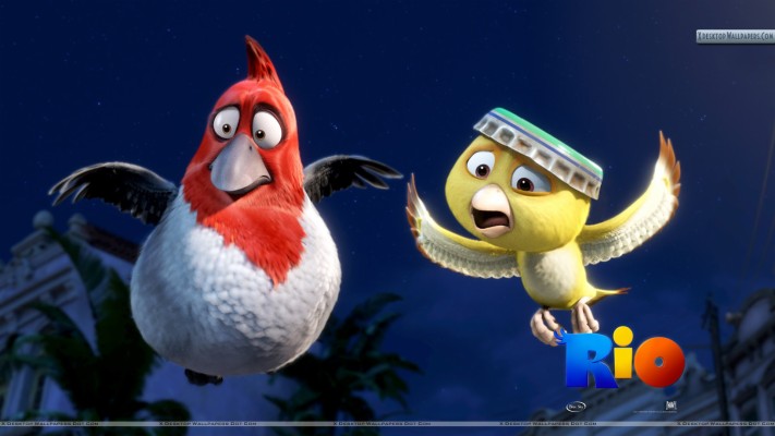 Birds From Rio Movie - 1920x1080 Wallpaper - teahub.io