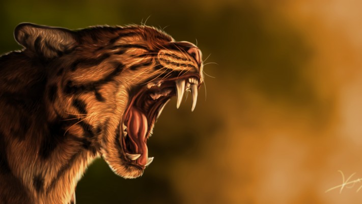 Tigerstar Warriors Facts - 1920x1080 Wallpaper - teahub.io