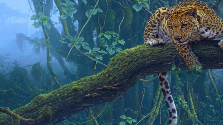 Leopards In The Jungle - 1920x1080 Wallpaper - teahub.io