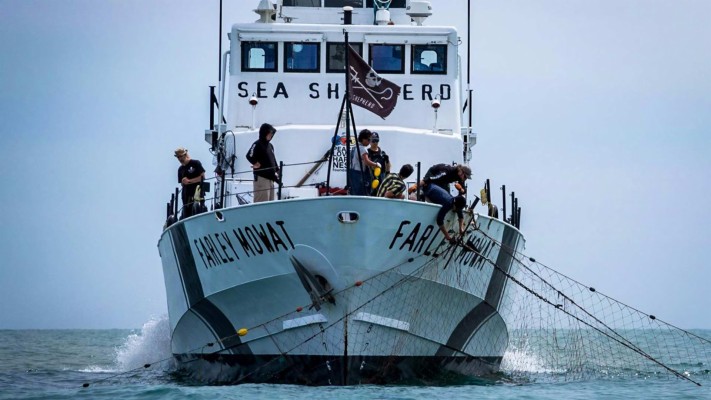 Sea Shepherd - 1920x1440 Wallpaper - teahub.io