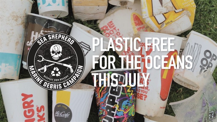 Sea Shepherd - 2048x1536 Wallpaper - teahub.io