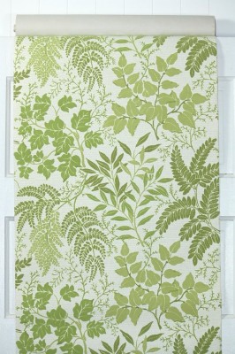 Fern Pattern - 570x855 Wallpaper - teahub.io