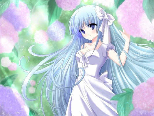 Moe Anime Girls Hd - 1280x960 Wallpaper - teahub.io