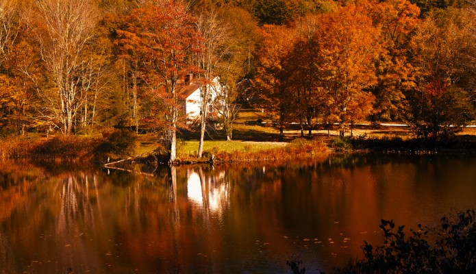 Flickr Wallpaper - 1024x768 Wallpaper - teahub.io